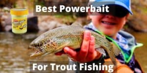 Best Powerbait for Trout – How to Fish With Powerbait