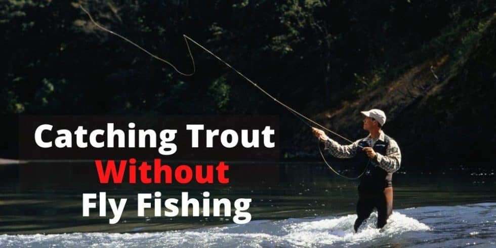 How To Trout Fish Without Fly Fishing