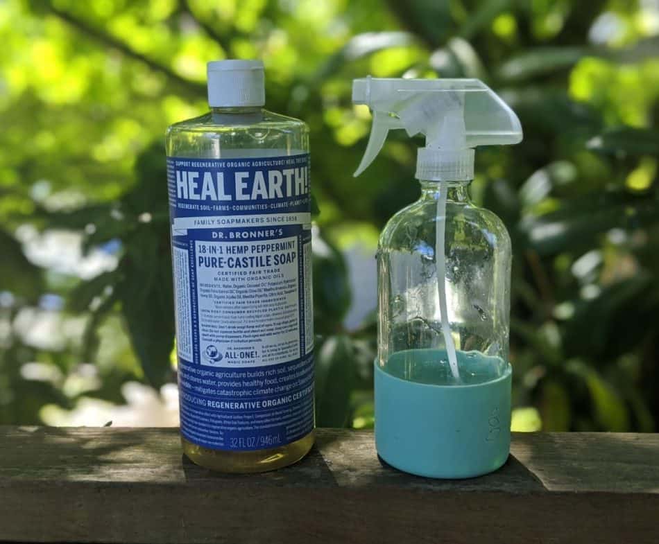 Homemade Insecticidal Soap Recipe With Dr. Bronner's