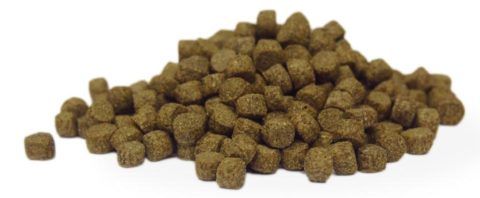 How to Catch Stocked Trout