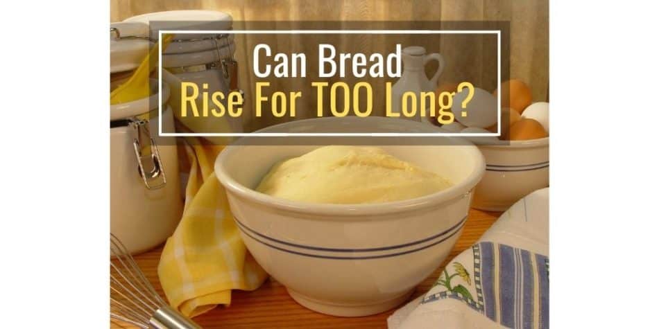Can Bread Over Rise or Rise For TOO Long? (Explained)