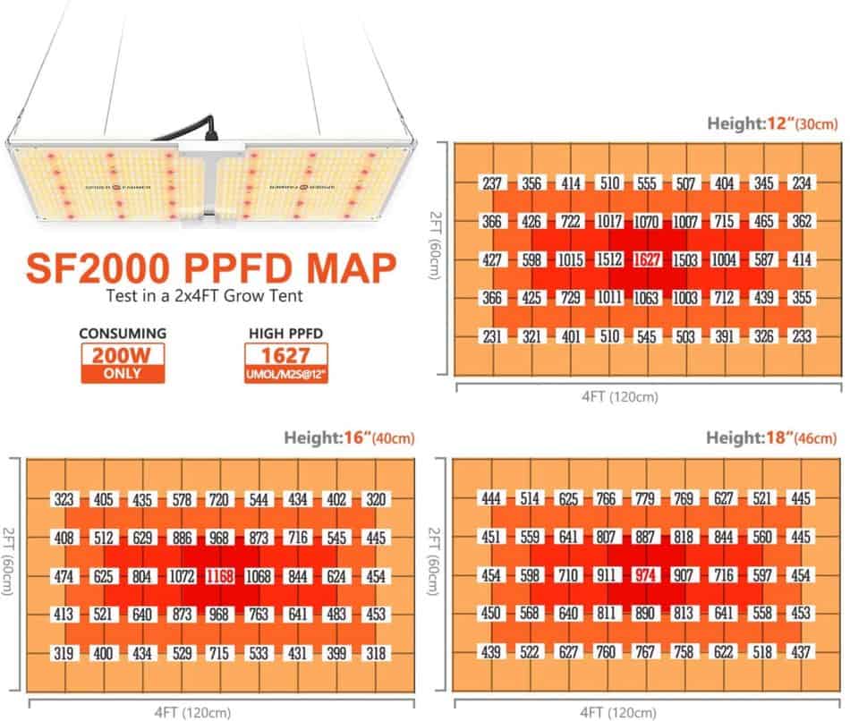 Do I Need A Grow Light To Start Seeds Indoors?