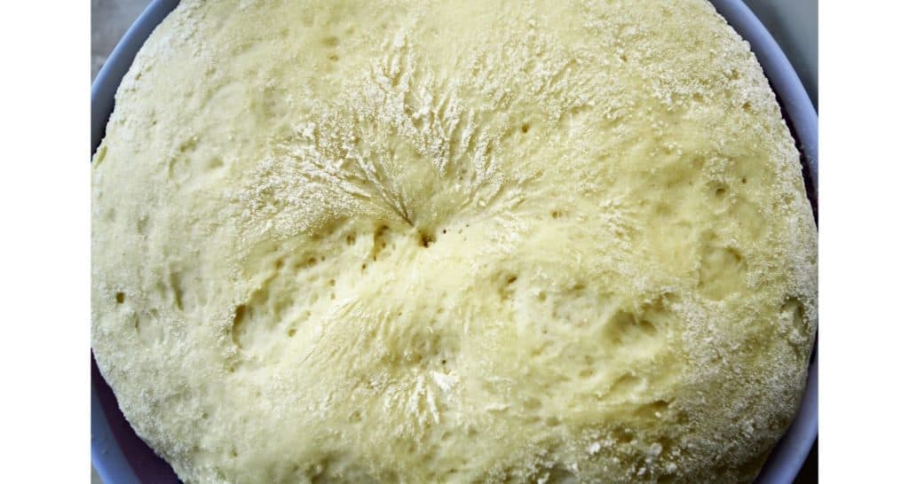 Can Bread Over Rise or Rise For TOO Long? (Explained)