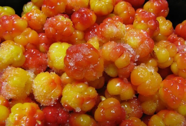 62 Red Foods (with Pictures)