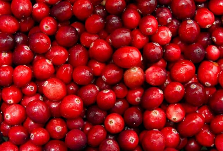 62 Red Foods (with Pictures)