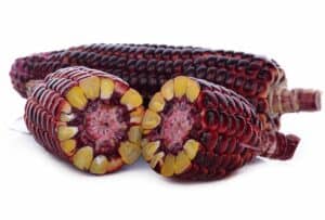 46 Purple Foods (with Pictures)