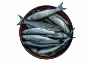 33 Gray Foods (With Pictures)