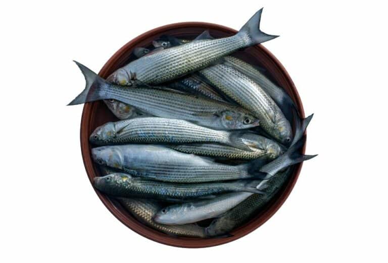 33 Gray Foods (With Pictures)