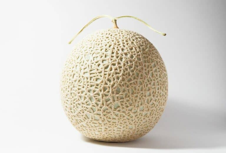 33 Gray Foods (With Pictures)